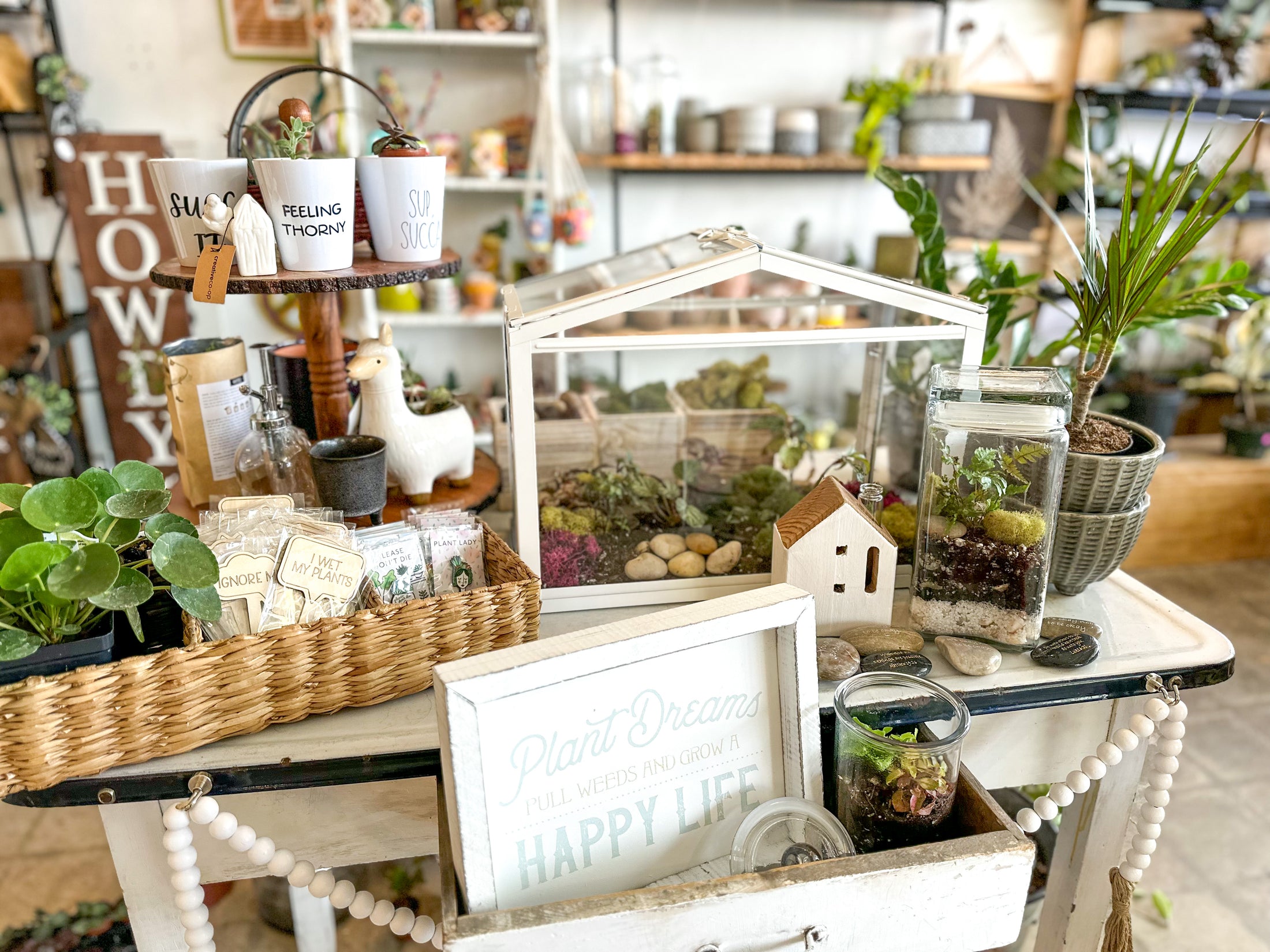 The Ruby Wren with State Street Soap Co.